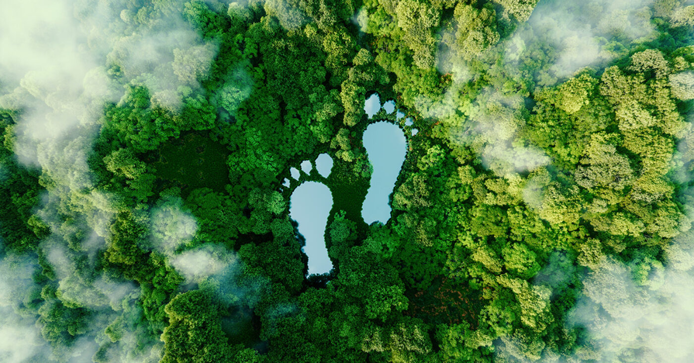 Reducing our footprint - Vivafloors